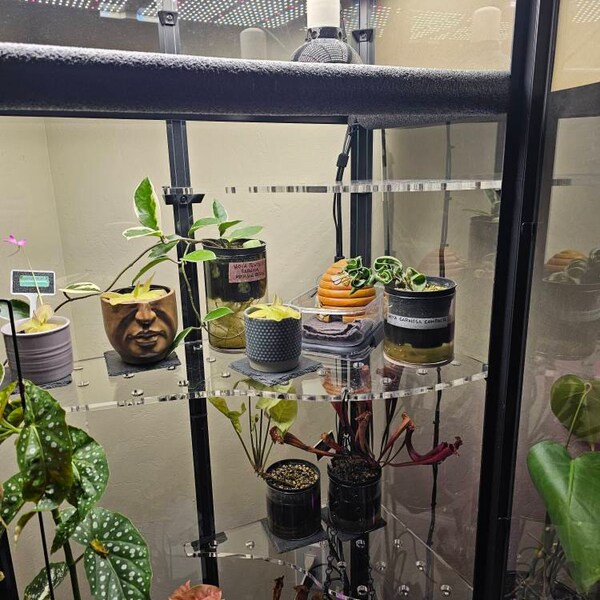 Milsbo Tall Set of 3 Sizes Shelves for IKEA Indoor Greenhouse Cabinet ...