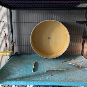 16 New Wheel Conception by Rodents Home. Aluminium Hoop Installed ...