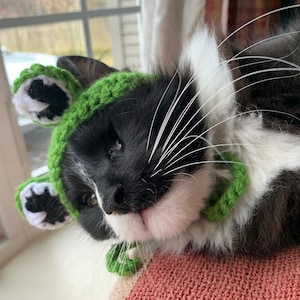 Frog Hat for Cats, Funny Feline Frog Accessory / Costume, Frog Hat With ...
