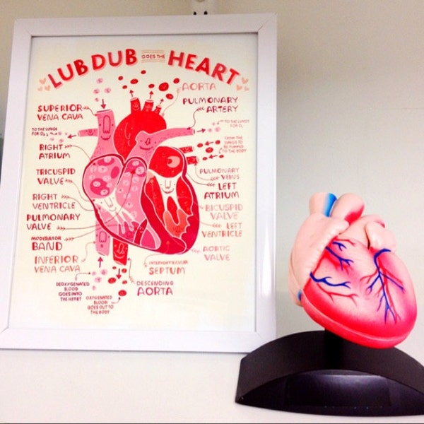 Lub Dub Goes the Heart :anatomy Poster - Etsy