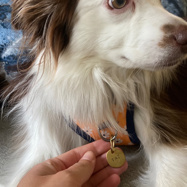 NICO Small: Luxury Hand Stamped Personalized Custom Pet ID Tags for ...