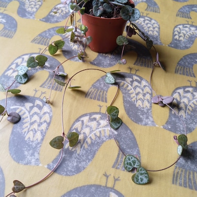 Rose 'fantastic at 60' Happy Birthday Rose Gift Wrapped With Huge Bow ...