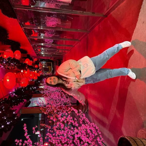 Bunny Embroidered Shoulder and Baguette Bag - Etsy