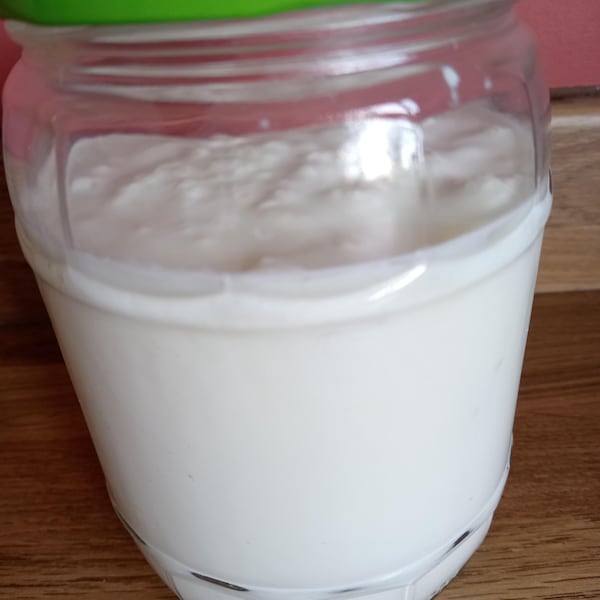 12g Organic Live Milk Kefir Grains,free Instruction, Tibetan Probiotic ...