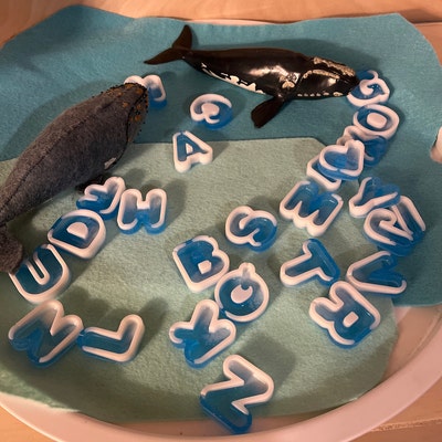 Rainbow ABC Resin Letters Sensory Alphabet Resin Letters Uppercase Abcs ...