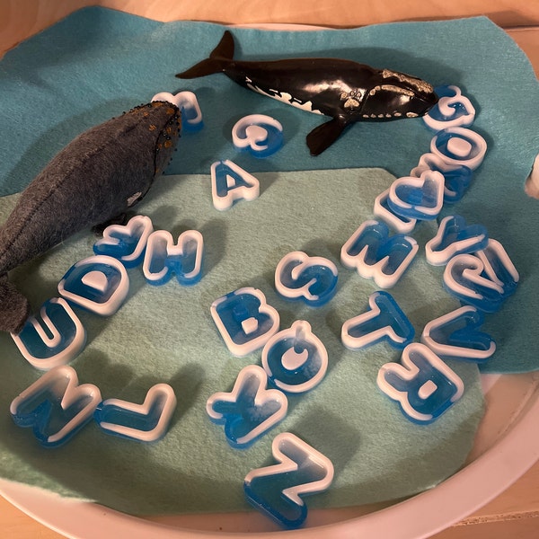 Rainbow Translucent Light Table Fillable ABC Resin Letters | Sensory ...