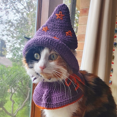 Wizard Pet Costume, Wizard Costume for Cat, Halloween Cat Hat, Wizard ...