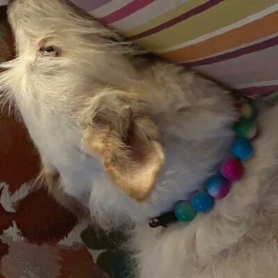 Peach Lilac Julep Beaded Dog Collar Personalized, Spring Pastel Glam ...