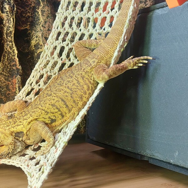 Reptile Climbing Wall Crochet Pattern by Toxicwitchweavery - Etsy