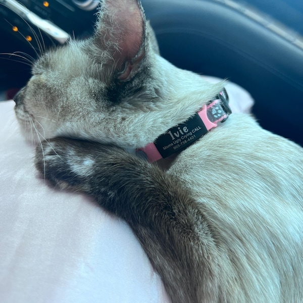 Cat Tags Slide on Pet Tag Custom Slide on Cat Id Tag Pet Id Tag Cat ...