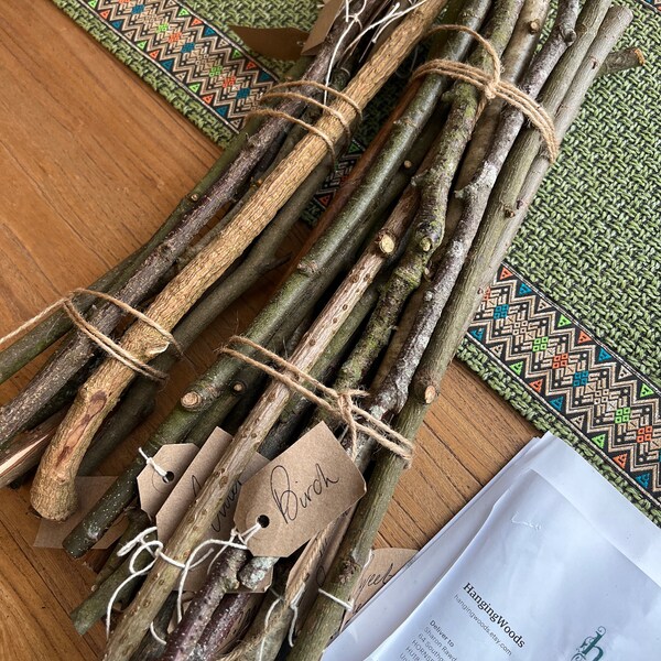 20 X Labelled Mixed Wood Sticks – 35cm Wiccan Ogham Wand Craft Set for ...