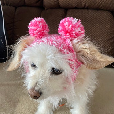 KNITTING PATTERN, Pit Bull Bunny Dog Hat, Dog Snood, Bunny Hat, Large ...
