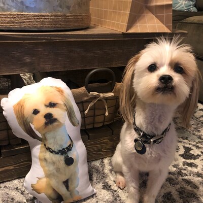 Huggable Pet Photo Pillow, Personalized Custom Dog or Cat Pet Photo ...