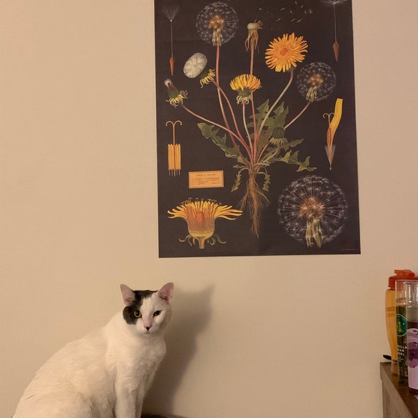 Dandelion Poster | Dandelion Print | Dandelion Wall Art | Dandelion ...