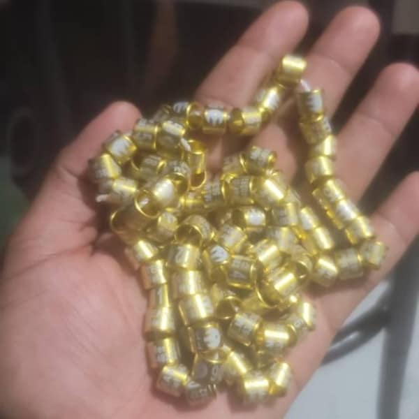 Personalized (laser Engraved) Aluminium and Plastic - Pigeon Bands ...