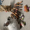 Ultimate Chew Toy Collection. Whimsy's Menagerie Original Design Chew ...