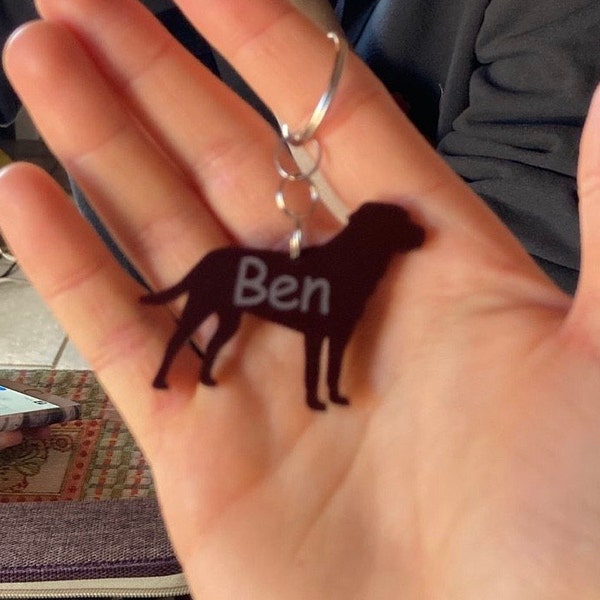 Chocolate Brown Labrador Lab Dog Keyring Bag Charm Keychain Gift in ...