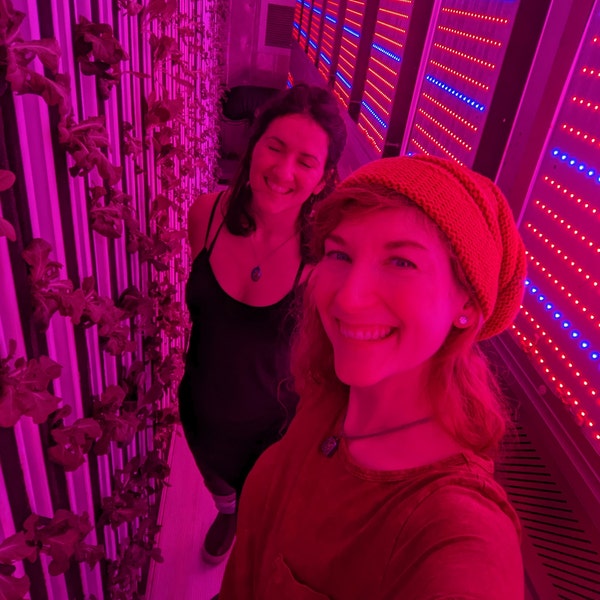 Alaskiwear Flat Hip Packs - Etsy