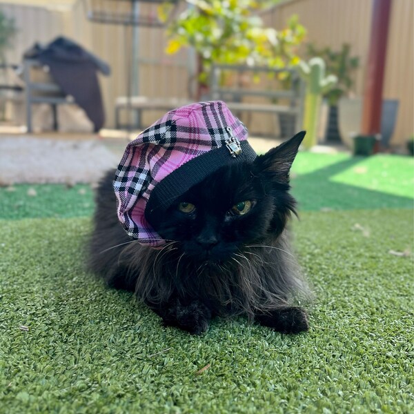 Balmoral Bonnet Dog Hat, Dog Hat, Caubeen Dog Hat, Dog Cap, Dog Bonnet ...