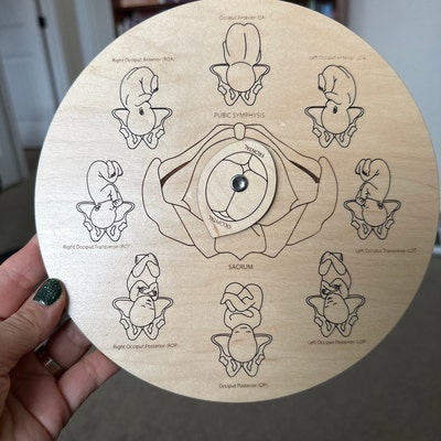 Fetal Compass Rose / Position Chart - Etsy