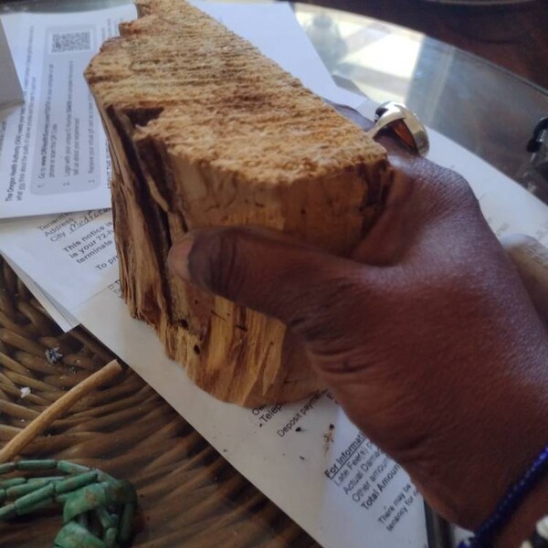 10" to 11" River Cooter Turtle Shell (1077-1011) Y3K - Etsy