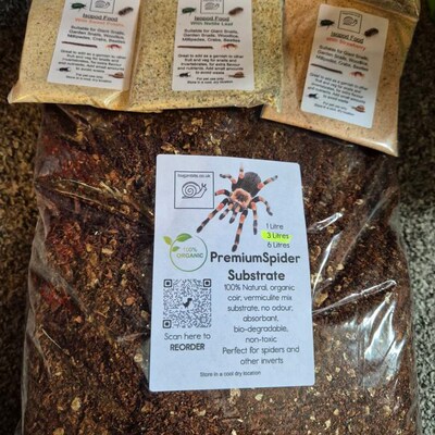 Hide and Shed Pack, Great for Small Snakes and Lizards Like Geckos and ...