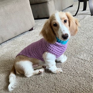 Lurcher/whippet Pdf Crochet Jumper Pattern 24 Inch - Etsy