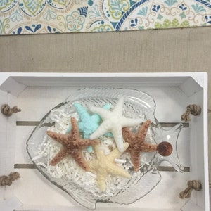 Starfish Soap Set of 5 Seastar Soap Seashell Soap Beach Soap Ocean Soap ...