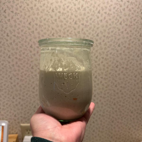 Beginners Basic Sourdough Starter Kit With Weck Tulip Jar, San ...