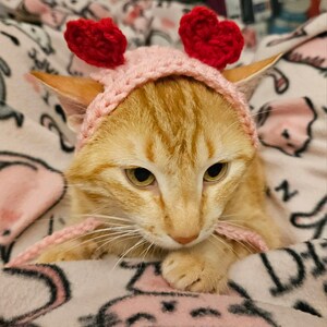 Crochet Pattern: Valentines Day Heart Headband for Cats With Ear Holes ...