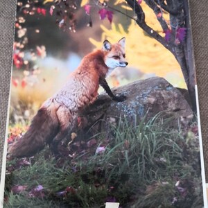 Ginger Cat Calendar 2025: Monthly Wall Calendar With Notes, Hanging A4 ...