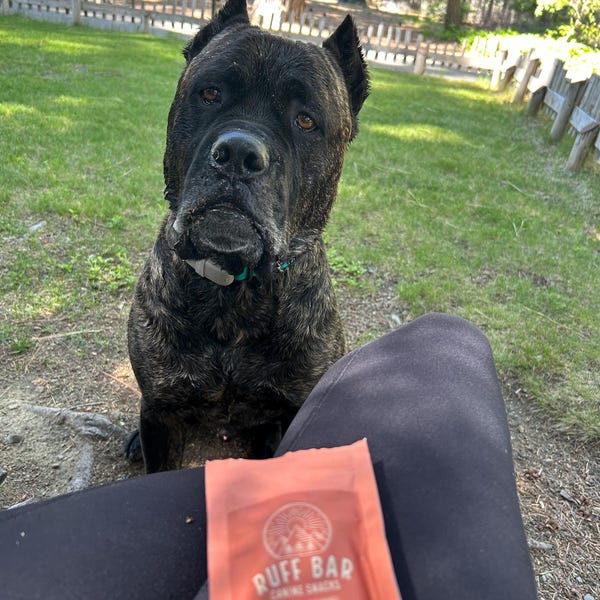 Ruff Food Real Meat Food Freeze Dried Meals for Dogs. Adventure Real ...