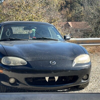 Universal Car Vampire Teeth / Bumper Fangs / Halloween Car Decoration ...