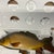 Halibut Fish Blank, 16-20 Inches 3D Wall Mounted Fish Blank, One Side ...