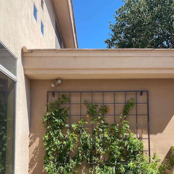 Jumbo Trellises, Multiple Sizes, Classic Metal Garden Trellis ...