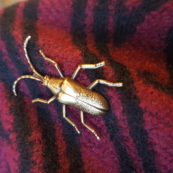 Brass Long Horned Beetle Pin, Insect Brooch, Bug Pin, Lapel Pin, Insect ...