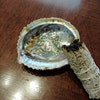 Abalone Shell - Perfect for Smudge Sticks - Alter Tool - High Quality ...