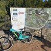 Custom Evil Bikes Frame Decals Stickers. Made From High Quality Vinyl ...