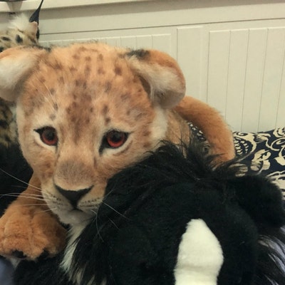 Pug. Real Size Poseable Realistic Toy. OOAK. Handmade Collectible ...