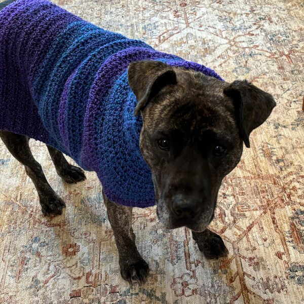 Tangerine, Custom Dog Sweater, Handmade Dog Sweater,medium Dog Sweater ...