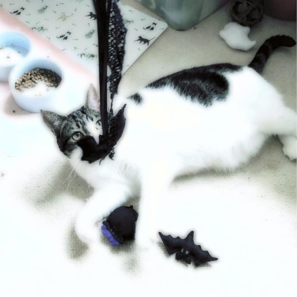 Black Bat Cat Wand Catnip Toy, Gift for Cat Lovers, Gift for Kittens ...