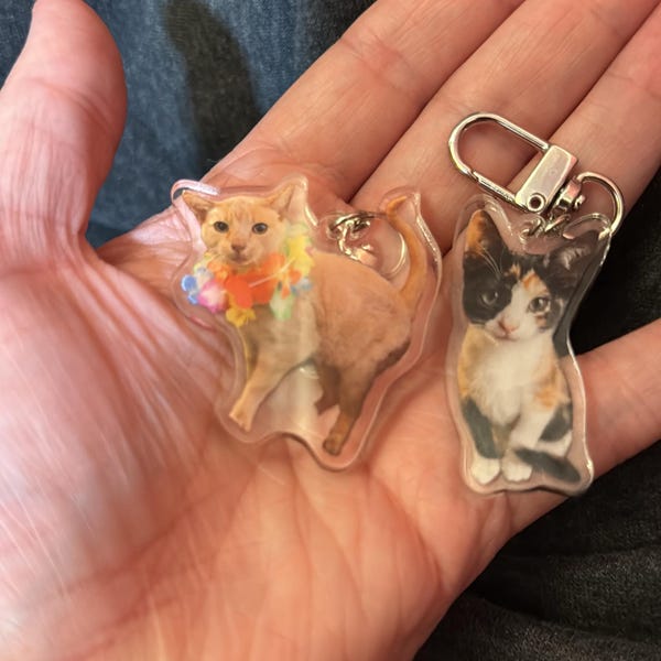 Custom Cat Keychain, Dog Keychain, Pet Keychain, Personalized Pet Photo ...