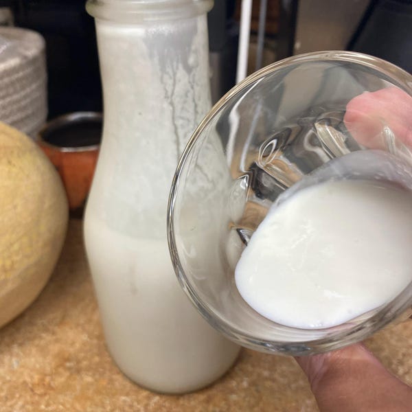 Organic Milk Kefir, Gut Health Support, Live Milk Kefir Grains ...