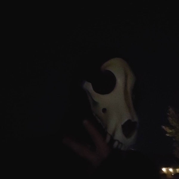 Cervine Skull Mask - Etsy