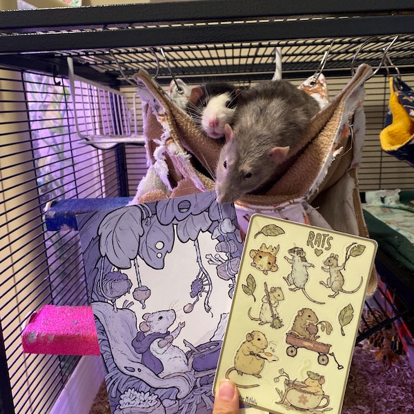 Winged Rat Art Print 8”x8” - Etsy