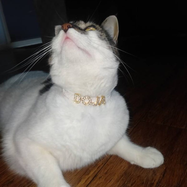 Personalised Fancy Cat Collar in White Custom Name Collar Gold Cat ...