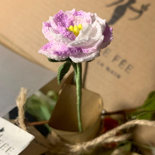 Crochet Graduation Capybara Toy Cute Crochet Charm Amigurumi Capybara ...