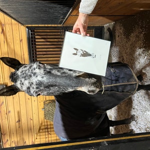 Editable Stall Card Template for Horse Shows With Logo and Photo ...