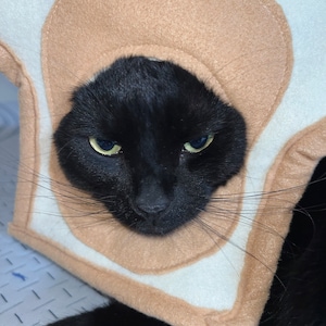 Bread Cat Costume for Cats - Etsy