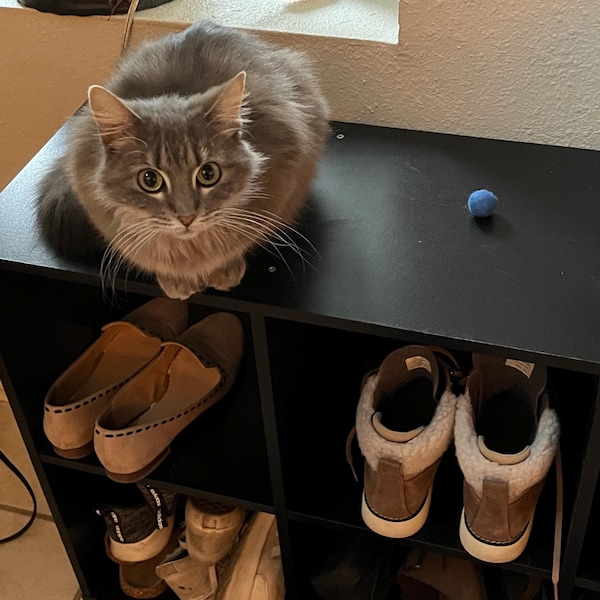 Customizable 3 Sizes READ Letters Colorful Art for Kids Play Room ...